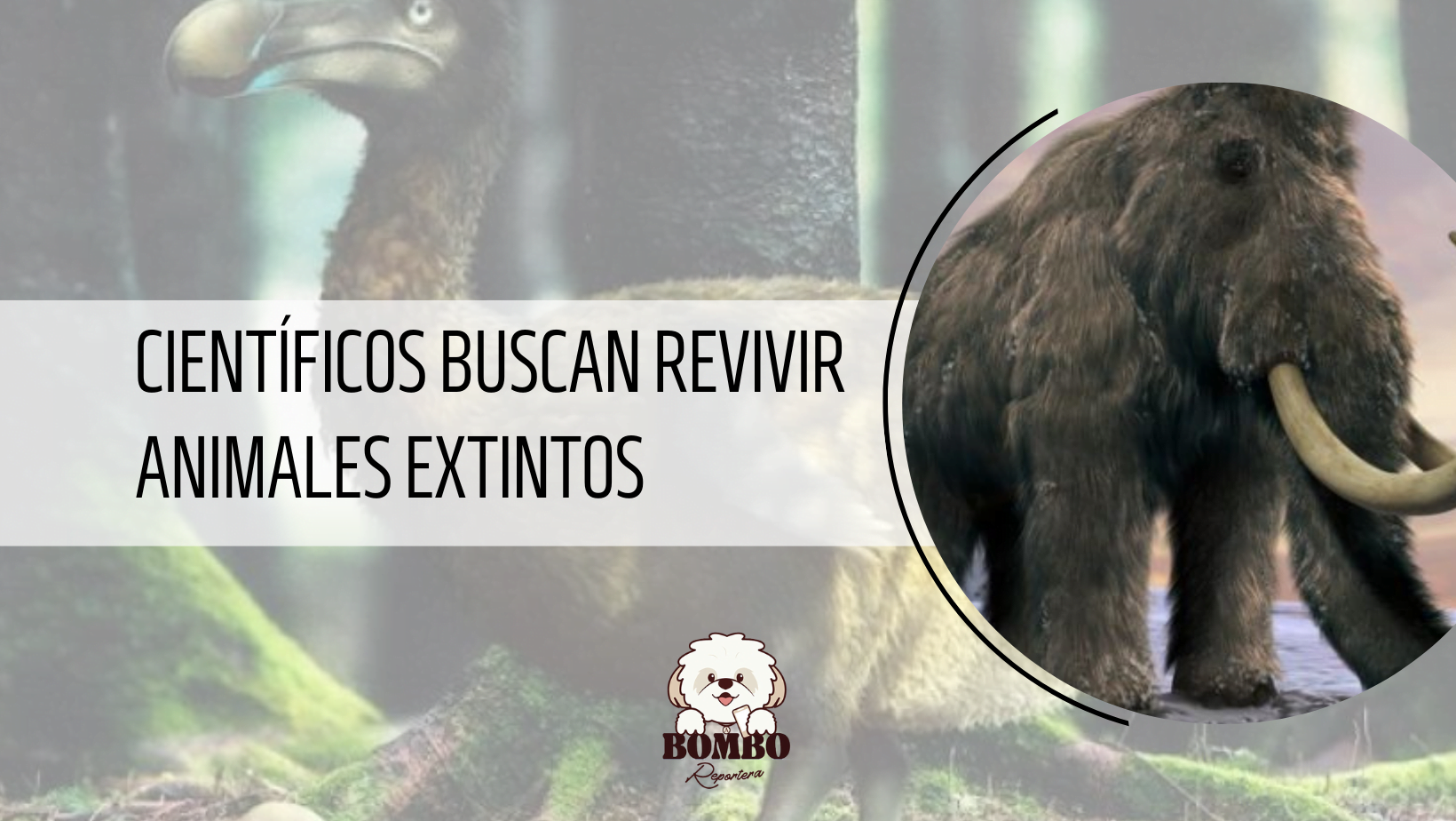 Científicos buscan revivir animales extintos – ACRÓPOLIS