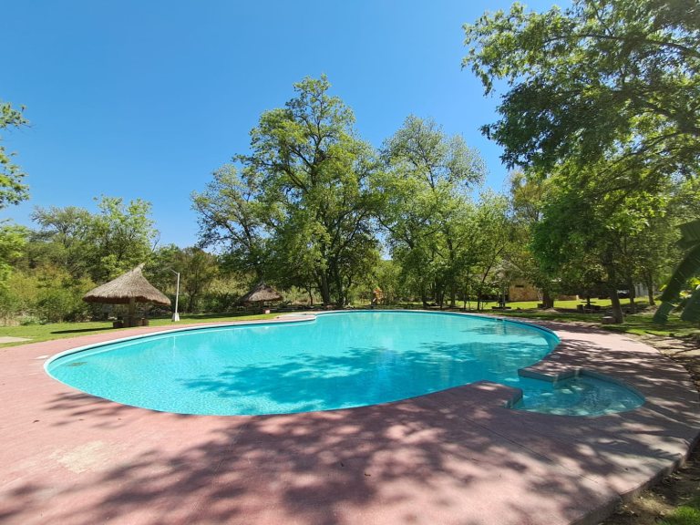 Tasquillo: Una mirada a la gastronomía, cultura y gente. – ACRÓPOLIS