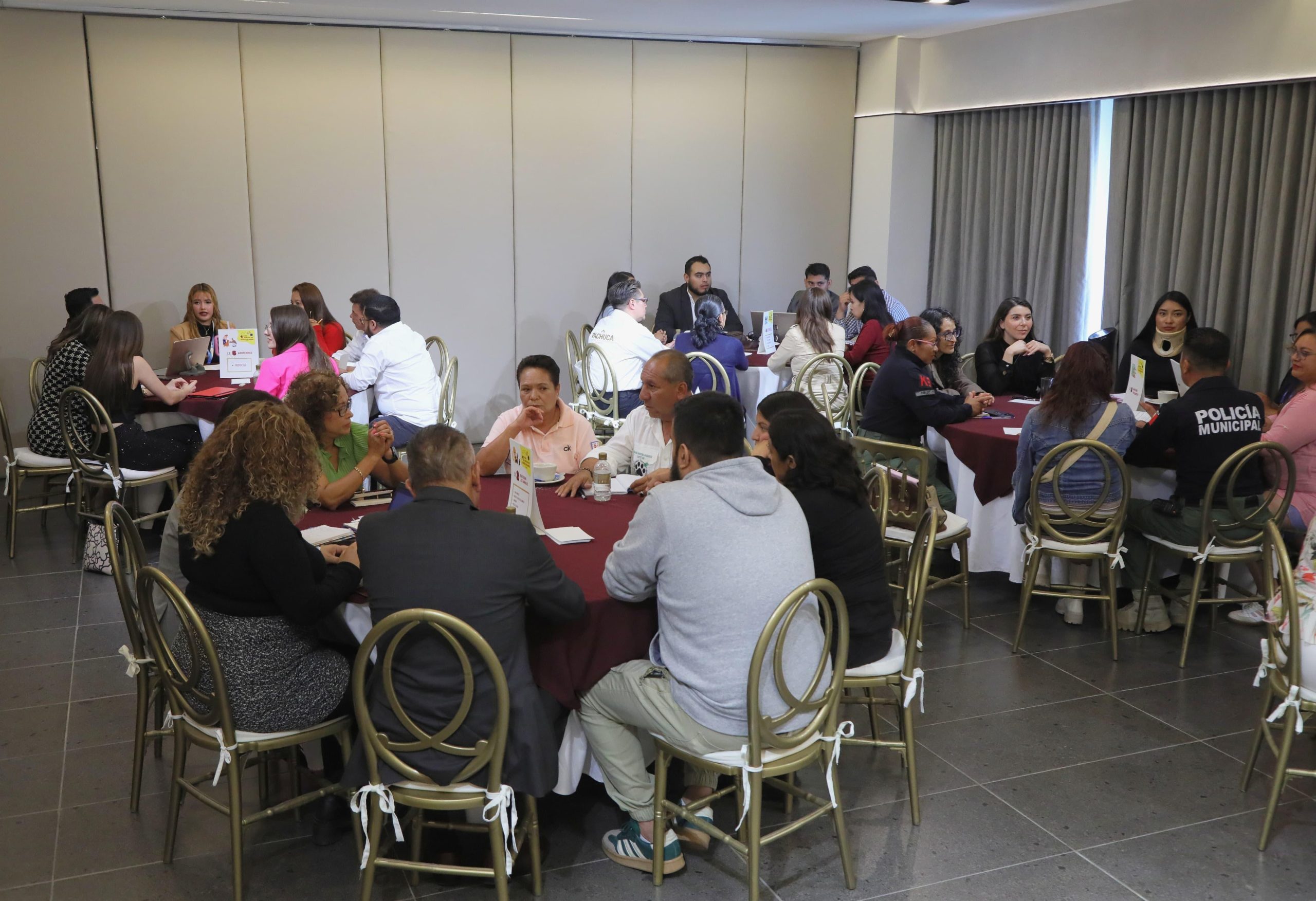 Realiza Pachuca primer Foro Municipal del Bienestar Animal – ACRÓPOLIS